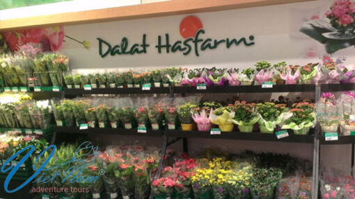 Dalat Flower Market - A spring picture not to be missed