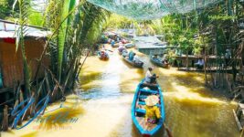 Tour Ben Tre for 1 day - The beauty of poetic coconut land