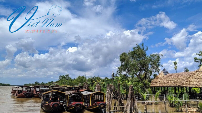 Tour Ben Tre for 1 day - The beauty of poetic coconut land